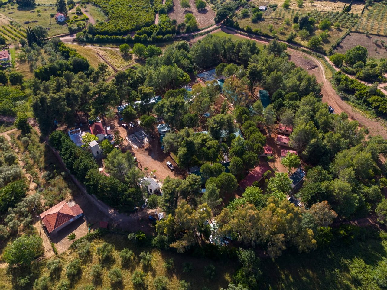 Olympic Forest Camp - Μέσα σε ένα καταπράσινο τοπίο, στην Αρχαία ...